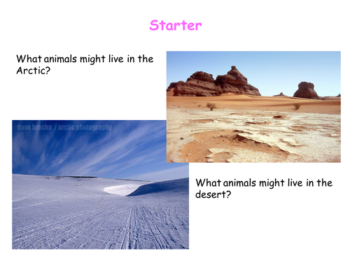 Adaptations for the arctic and desert: foundation | Teaching Resources