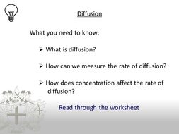 Diffusion Practical | Teaching Resources