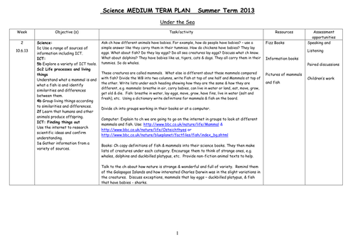 Under the Sea Medium Term Planning | Teaching Resources