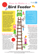 How to Make a Bird Feeder | Teaching Resources