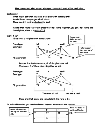 B13.7 - Inheritance in Action ** FULL LESSON ** AQA GCSE Biology ...