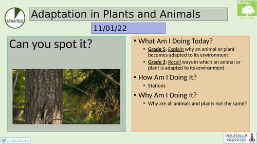 B16.6 - Adapt and Survive (Adaptation) ** FULL LESSON ** (inc KS3 ...