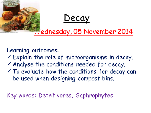 Lesson on decay | Teaching Resources