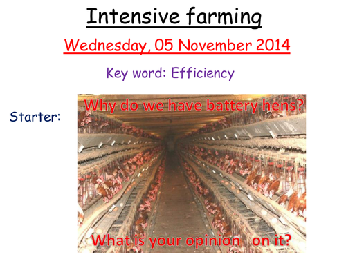 Intensive farming | Teaching Resources