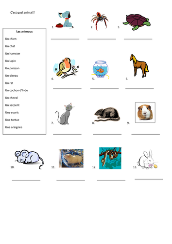 Les Animaux | Teaching Resources