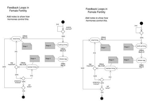 Female Fertility/Menstruation Flowchart | Teaching Resources