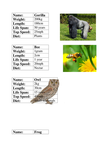 Animal Fact File Cards | Teaching Resources