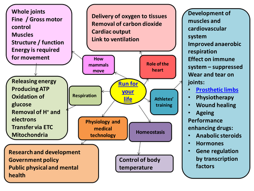 SNAB Run for your life Introductory mind map | Teaching Resources
