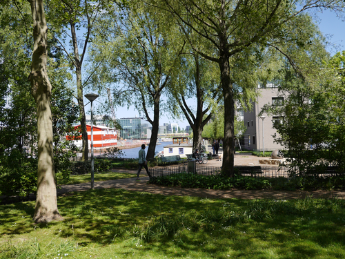 Trees, Plants & Nature of Amsterdam city in photos - free urban picture ...
