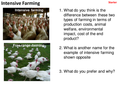 Intensive vs Organic Farming | Teaching Resources