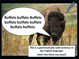 Buffalo... | Teaching Resources