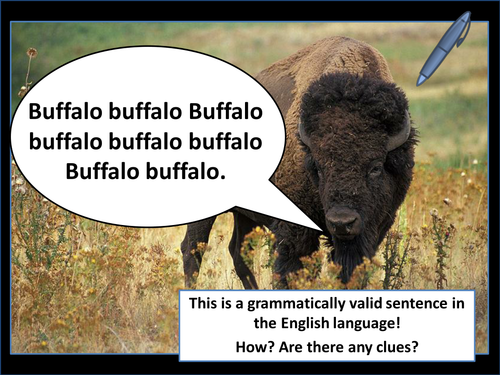 Buffalo... | Teaching Resources