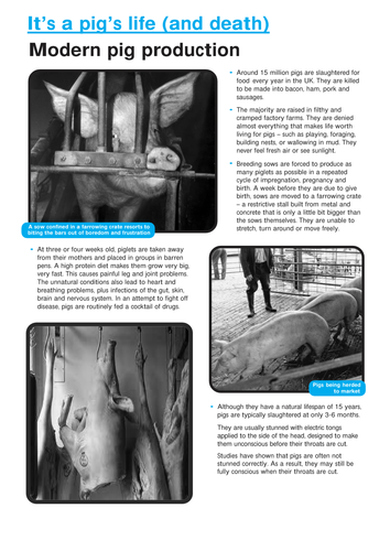 Yr 8 Reading Mini Unit (Animal Rights): Lesson 1 | Teaching Resources