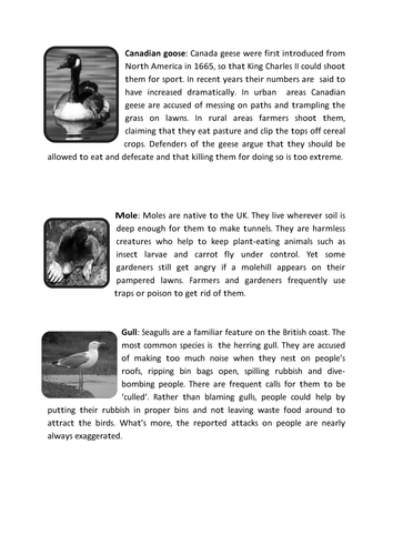 Yr 8 Reading Mini Unit (Animal Rights): Lesson 3 | Teaching Resources