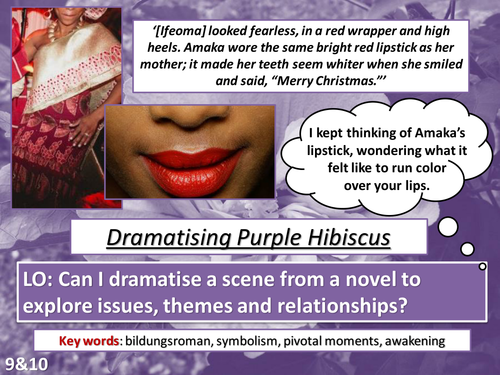 GCSE Literature: Purple Hibiscus | Teaching Resources