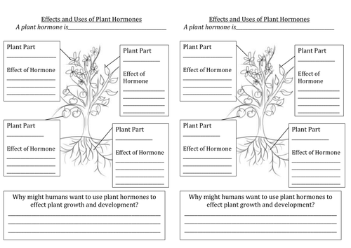 Effects and Uses of Plant Hormones | Teaching Resources