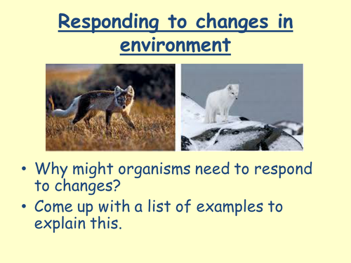 Responding to environment, Plants and Tropisms | Teaching Resources