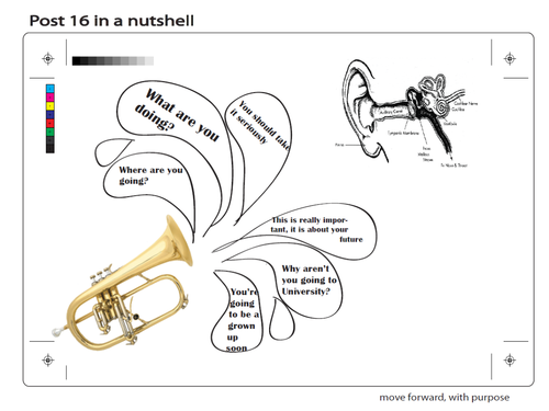 Post-16 in a Nutshell: Careers Planning Resources | Teaching Resources