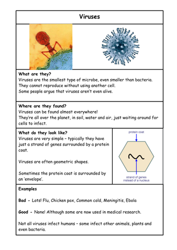 AQA B1 lesson on pathogens and Semmelweiss | Teaching Resources