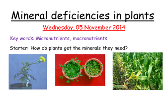Topic 4 Edexcel plant minerals | Teaching Resources