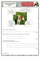 Year 4 reading comprehension, optional tests - Resources - TES