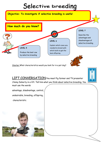 Selective breeding fun | Teaching Resources