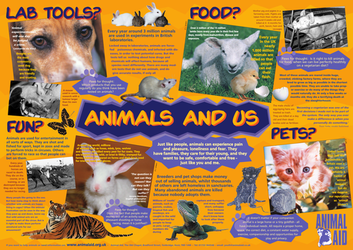 Animals and Us Poster | Teaching Resources