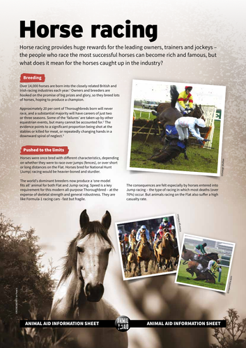 Horse racing factsheet | Teaching Resources