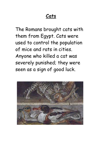 What have the Romans ever done for us? | Teaching Resources