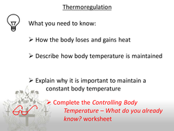 Thermoregulation | Teaching Resources