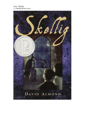 Skellig Bundle - Resources, SOW and Work sheets | Teaching Resources