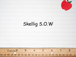 Skellig Bundle - Resources, SOW and Work sheets | Teaching Resources