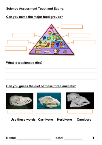 Teeth and Eating Resources | Teaching Resources