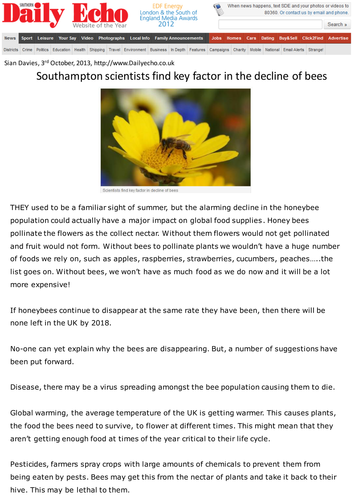 Where have the bees gone? - News story | Teaching Resources