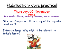 Habituation core practical | Teaching Resources