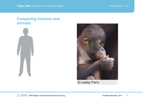 Who comes first, humans or animals? | Teaching Resources
