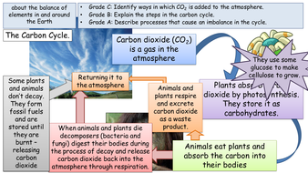 Carbon Cycle Summary | Teaching Resources
