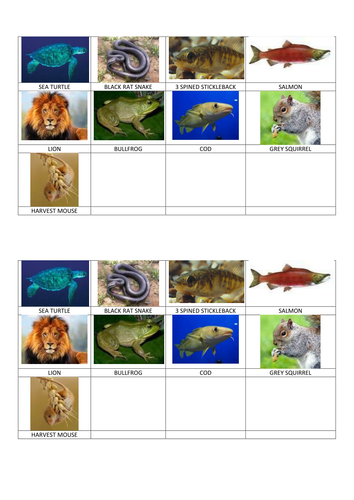 Animal reproduction strategies | Teaching Resources