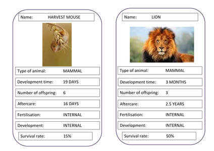 Animal reproduction strategies by Liffy98 - UK Teaching Resources - TES