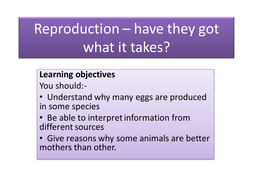 Animal reproduction strategies | Teaching Resources
