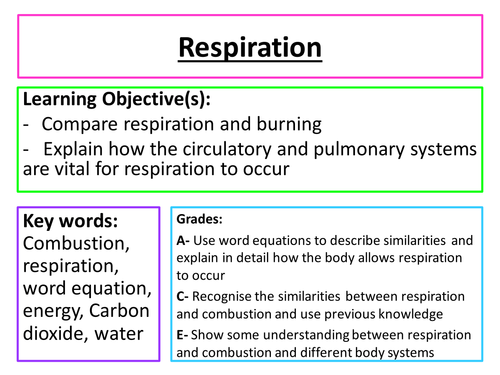 Respiration | Teaching Resources