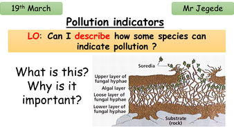 Pollution indicators | Teaching Resources
