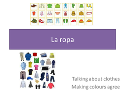 KS3 Spanish Clothes and colours | Teaching Resources