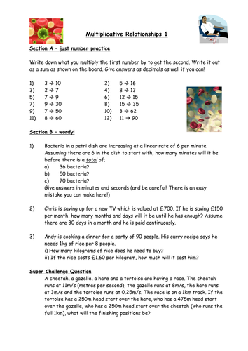 Multiplicative Relationships | Teaching Resources