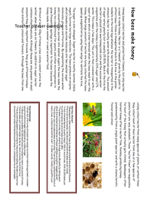 Year 4/5 Explanation Texts Complete Topic - Resources - TES