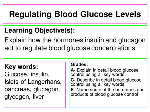Blood Glucose regulation/ diabetes | Teaching Resources