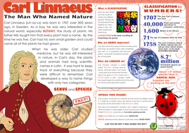 Linnaeus Poster by TheLinneanSocietyofLondon - Teaching Resources - Tes
