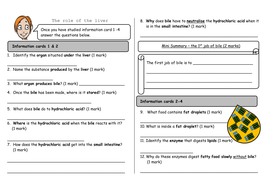 The role of the liver and bile | Teaching Resources