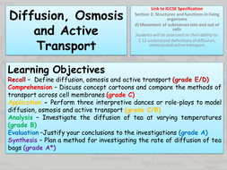 Diffusion, Osmosis and Active Transport | Teaching Resources