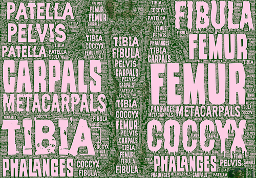 PE Literacy Posters (2) | Teaching Resources